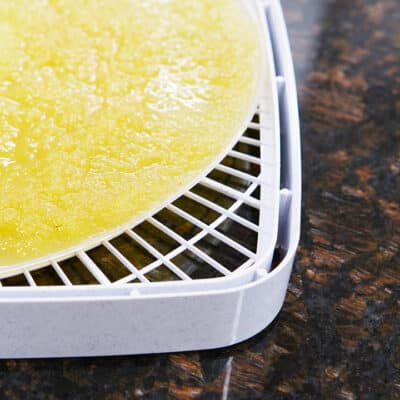 Lg. Fruit Roll Sheets [FD-80,85,1000, 1010, 1020, 1040 Set of 2]