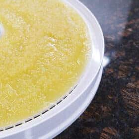 Small Round Solid Fruit Roll Sheets [Set of 2] | NESCO®