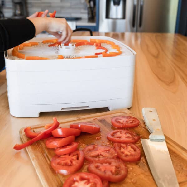 FD-80 Snackmaster® Square Food Dehydrator | NESCO®