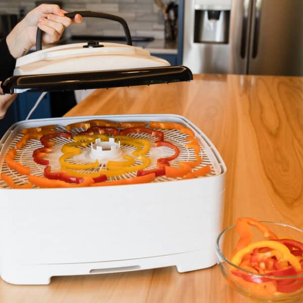 FD-80 Snackmaster® Square Food Dehydrator | NESCO®