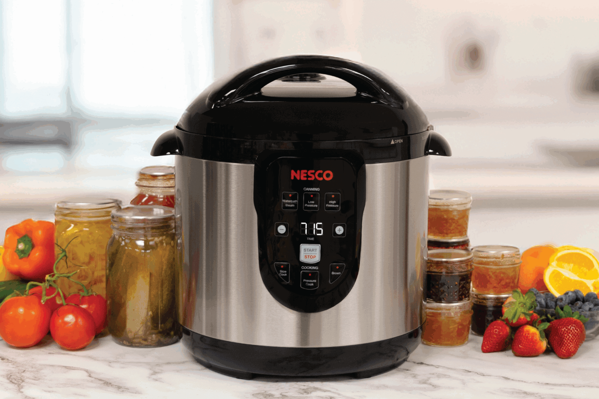 NESCO®: Roaster Ovens | Dehydrators | Small Appliances | Jerky Spices Nesco