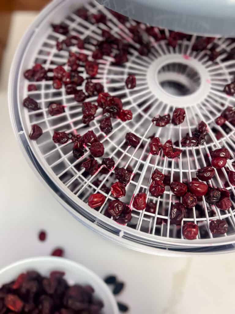 Dehydrated Cranberries - NESCO